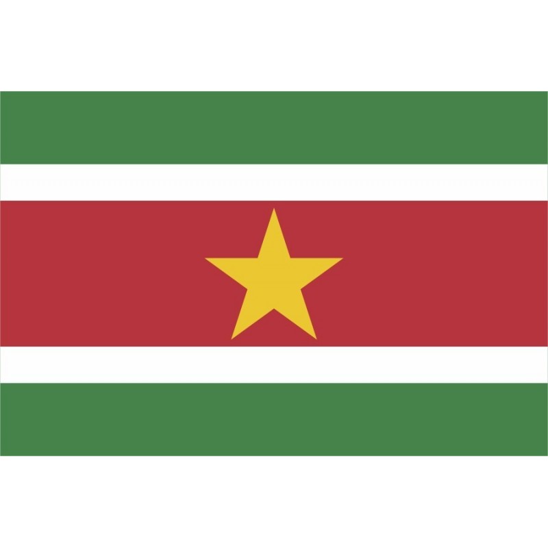 Steag Surinam - Promo-Gifts.Ro